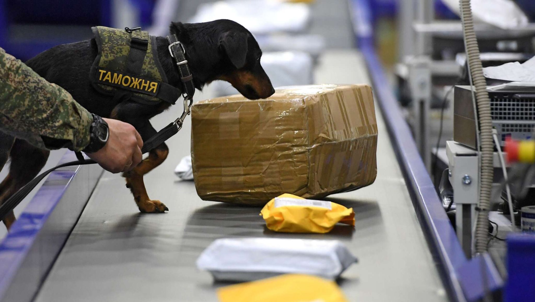 Customs audit and risk-based control are expanding in Uzbekistan — Frank.uz